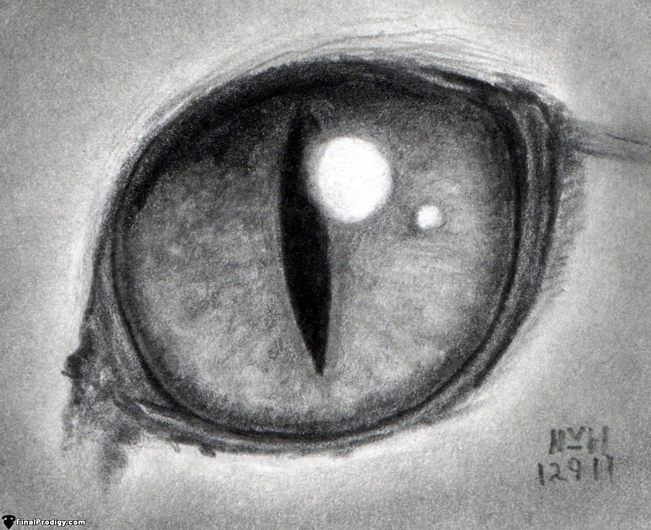 How To Draw A Cat Eye FinalProdigy